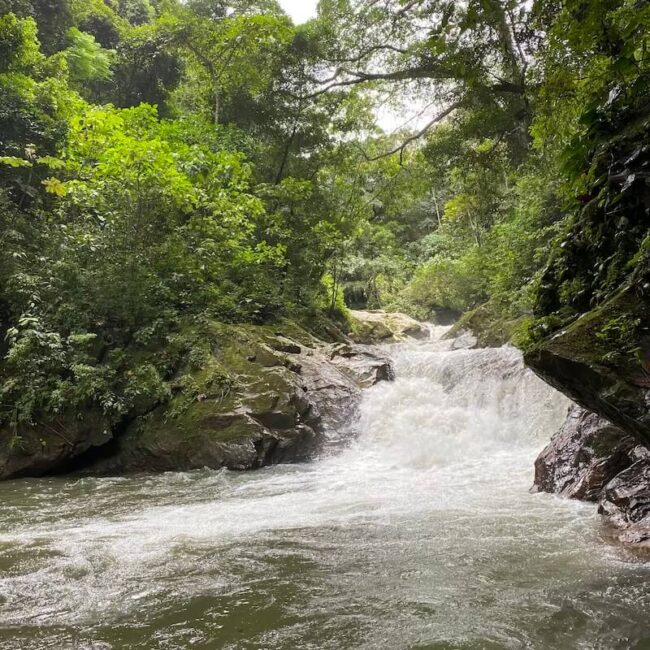 Pozo Azul: Ultimate Guide To Minca's Most Popular Waterfall