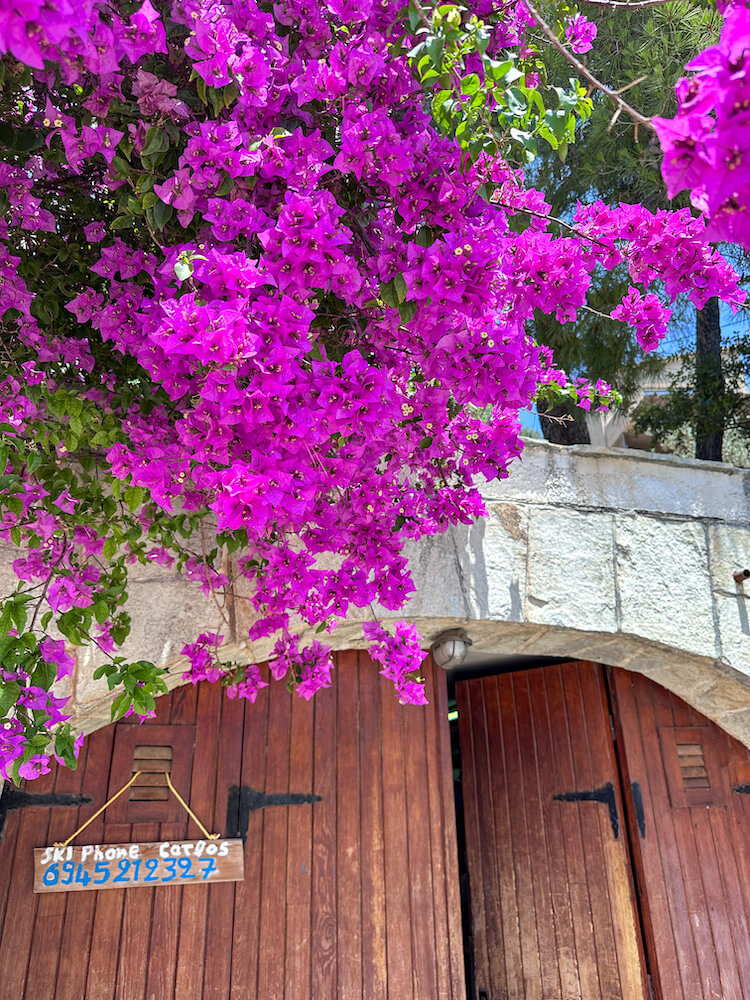 Is Poros Worth Visiting? The Truth About Greece's Hidden Gem